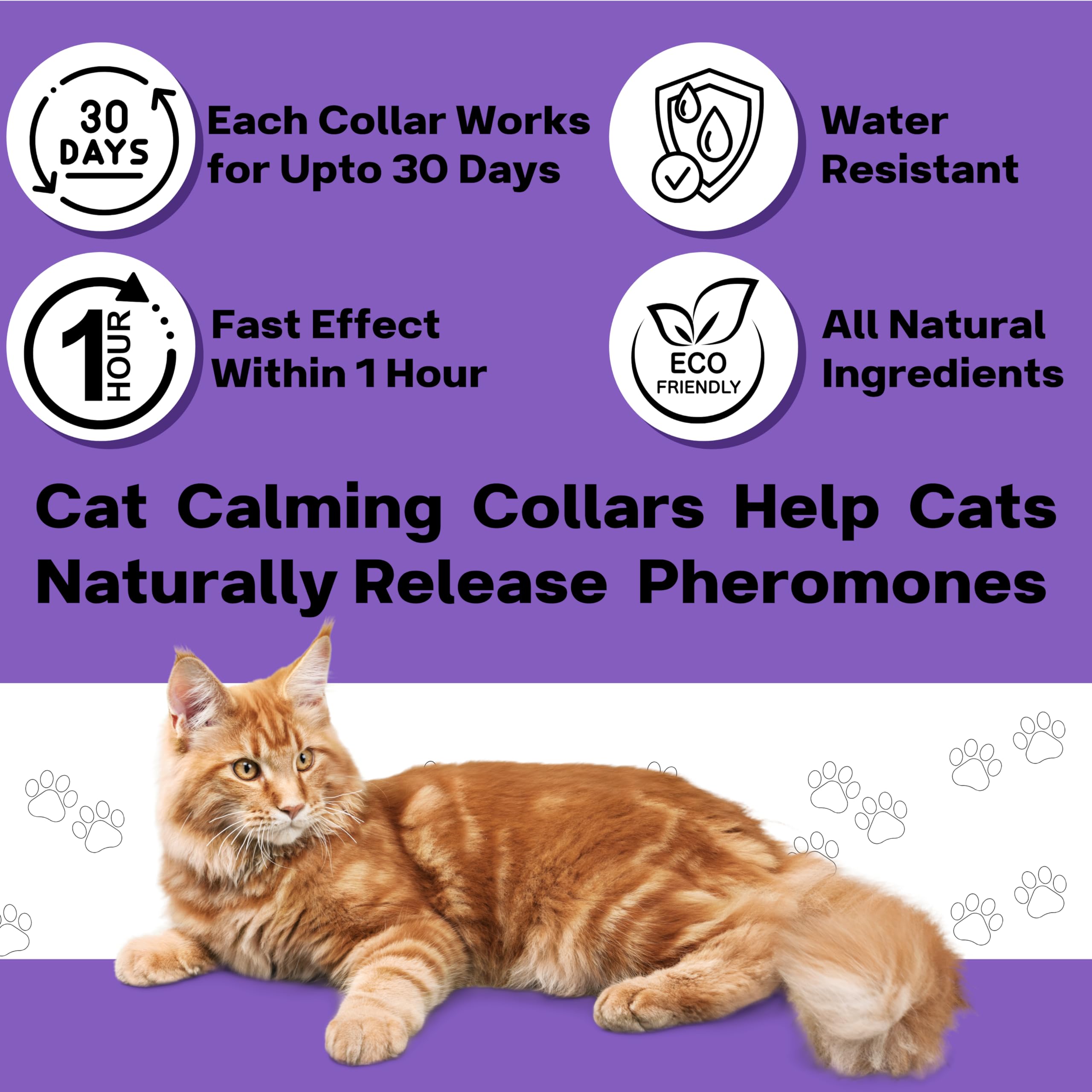 Confetti Sky Calming Collar for Cats [4 Pack] for All Cats Size and Breed | Adjustable & Breakaway Design | Cat Pheromone Collar for Stress and Anxiety Relief | Lasts up to 30 Days