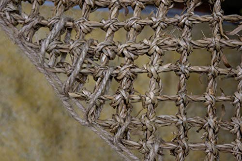 PENN-PLAX Reptology Lizard Lounger Corner Triangle – 100% Natural Seagrass Fiber – Great for Bearded Dragons, Anoles, Geckos, Iguanas, and Other Reptiles – Small