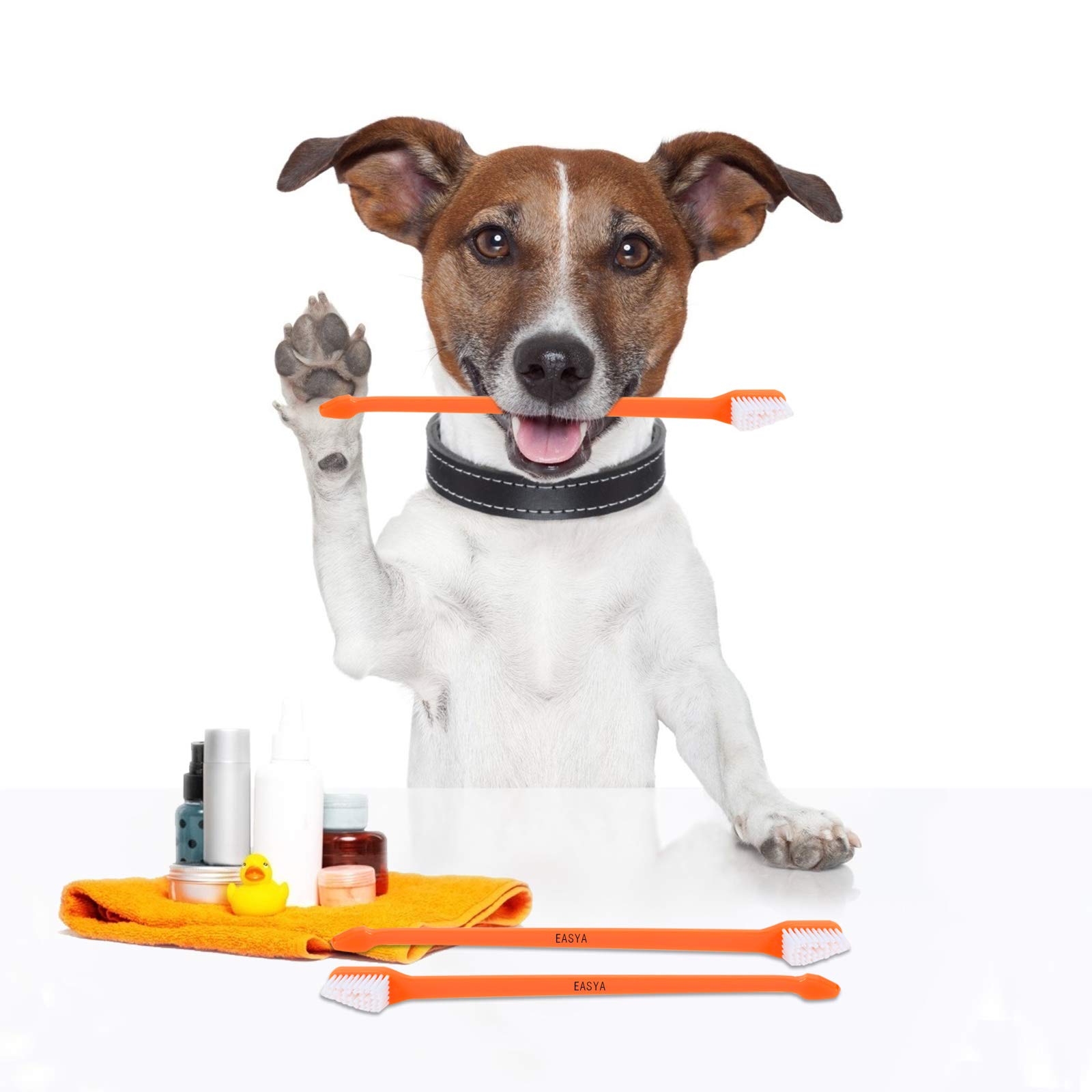 EASYA Double Headed Pet Dog Toothbrush for Small Dogs/Soft Bristles Puppy Long Handle Tooth Brush Dogs Teeth Cleaning/Bulk Toothbrushes Dental & Oral Care… (MIXED10)