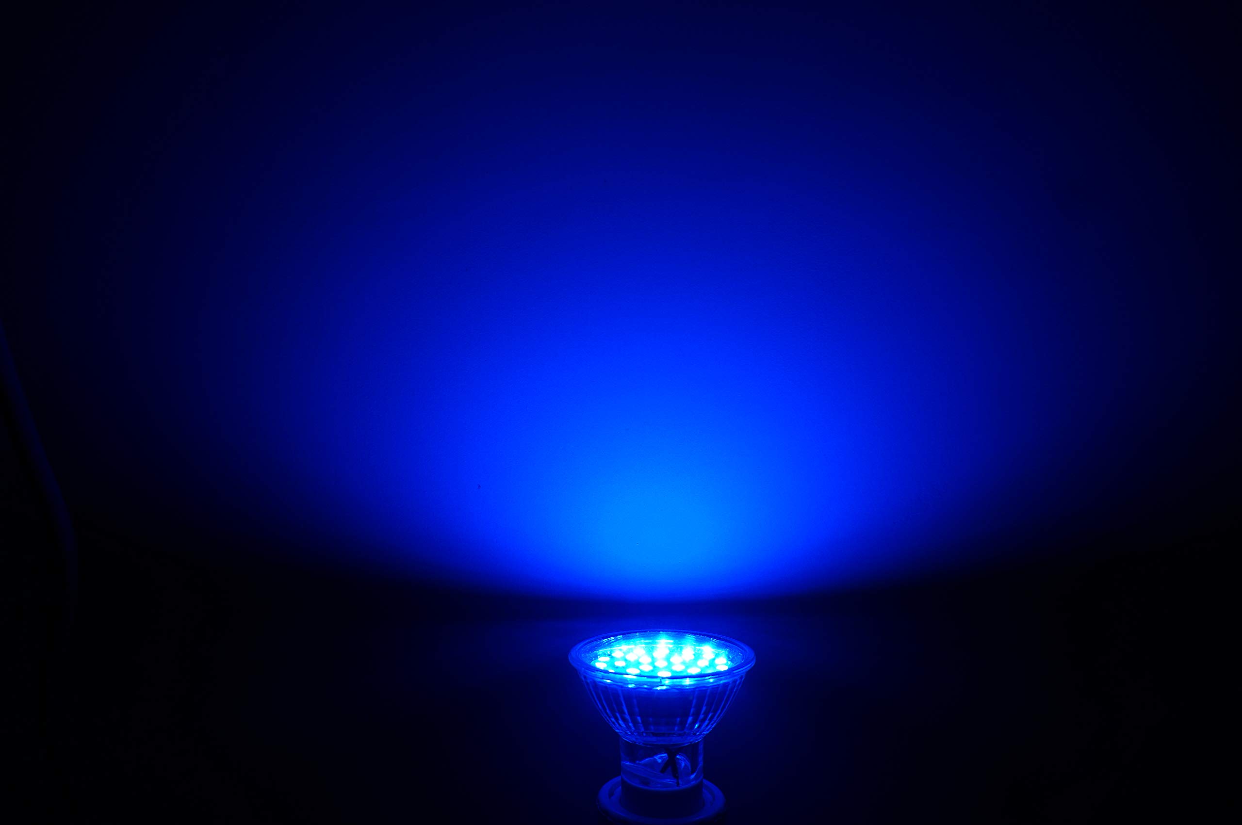 JQSLIGHT LED Landscape Lights,GU10 Blue LED Spotlight Bulbs 5W MR16 GU10 Base Blue Coloured Spot Light Bulb for Wall Washer Lamps, Landscape Lighting, Decorative Lighting, Mood Lighting