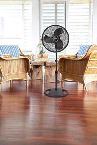 Lasko FBA_2521 Oscillating Adjustable 16-inch Standing Pedestal Fan for Indoor, Bedroom, Living Room, Home Office & College Dorm Use, 1-Pack, Black Basic