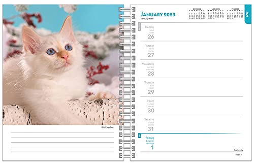 Kittens | 2023 6 x 7.75 Inch Spiral-Bound Wire-O Weekly Engagement Planner Calendar | New Full-Color Image Every Week | BrownTrout | Animals Cats Pets