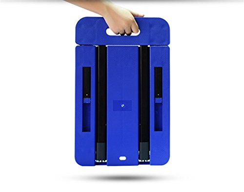 BJL-Hang Truck Trolley Van Mini Trailer Hand Truck Small Cart Pull The Truck Folding Portable Trolley Household Microtake OYO (Color : D)