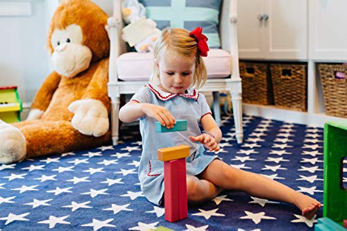 Tegu 14 Piece Magnetic Wooden Block Set in Tints