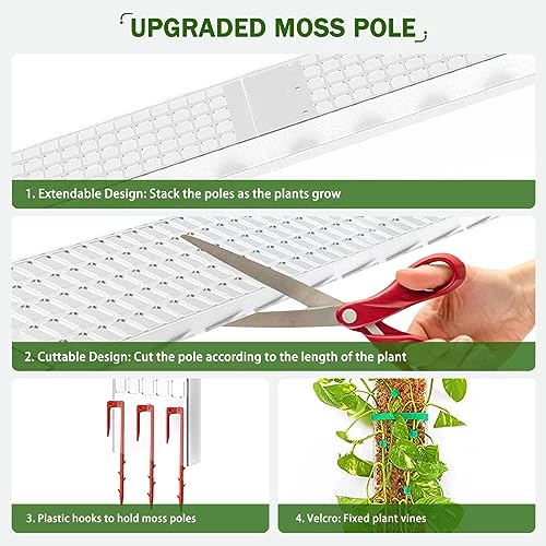 Gardzizy Plastic Moss Pole 6 Pcs 24 Inch Moss Poles for Plants Monstera Climbing Plants, Plant Support for Indoor Plants Work with Sphagnum Moss (6 Pack)