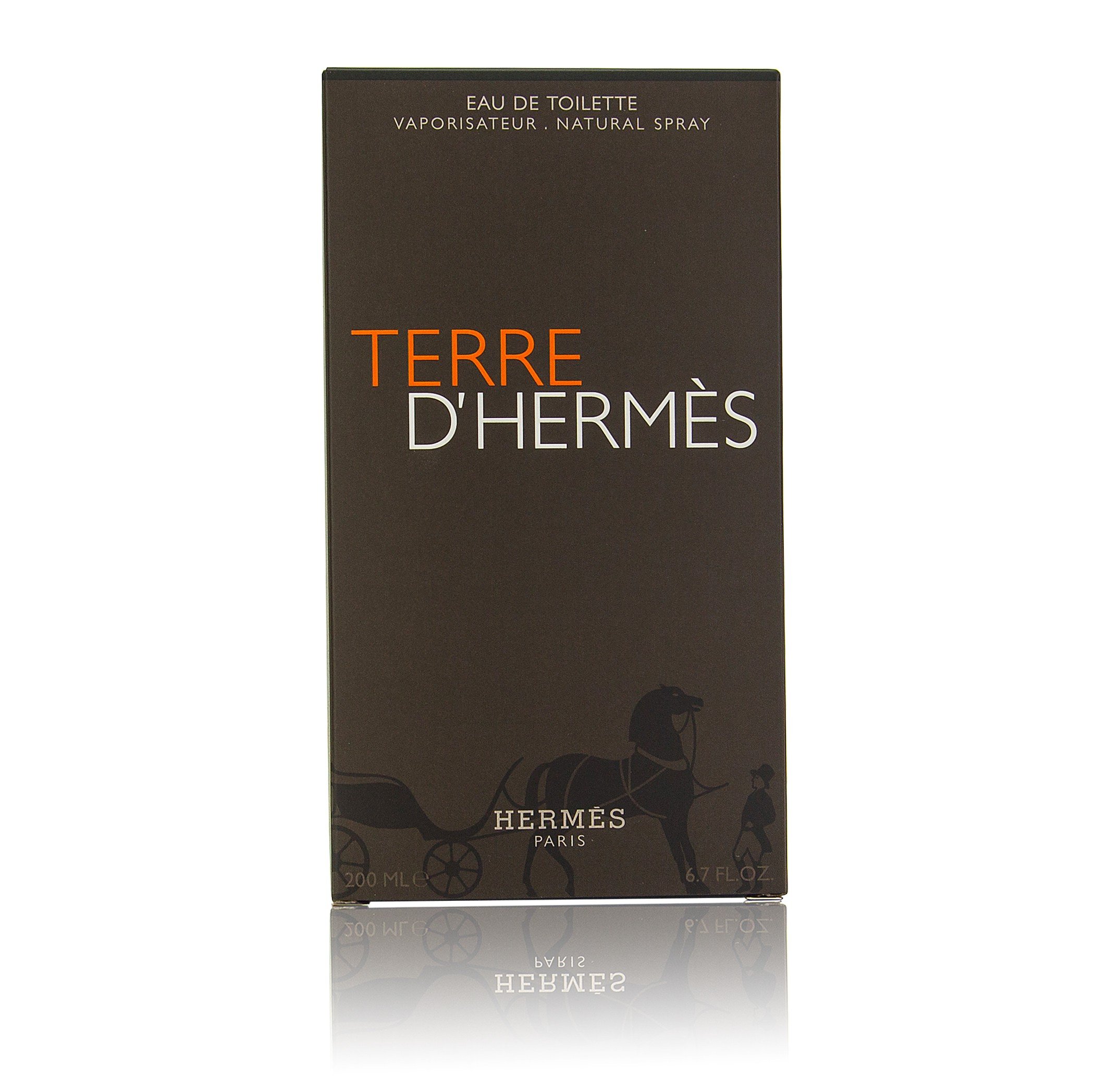 Terre D'Hermes By Hermes Eau De Toilette Spray 6.7 Oz Men