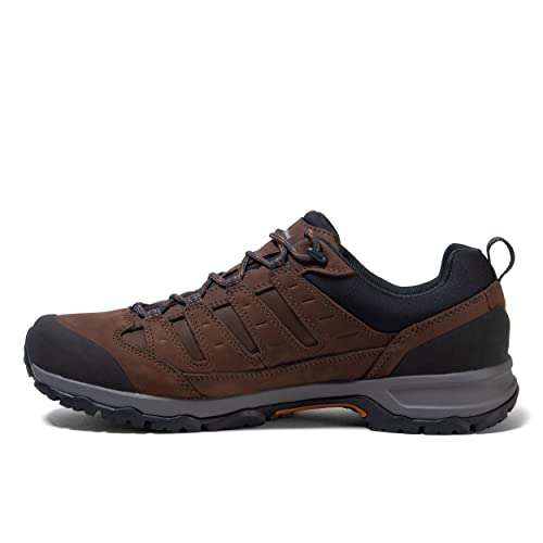 Berghaus Men's Fellmaster Active Tech Low Rise Hiking Boots, Brown (Brown/Burnt Orange X11), 10 UK 44.5 EU