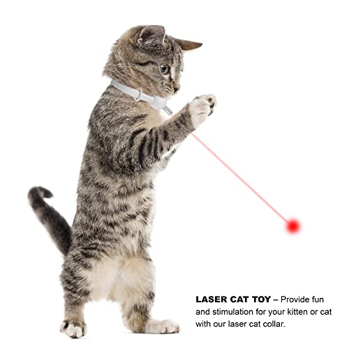 Laser Cat Toy Collar β 2 Adjustable Modes β 15 Minute Standby Shut Off β Rechargeable Micro-USB β Fits Cats and Kittens 200mm to 310mm Neck by Redeye Goods (LM2201)