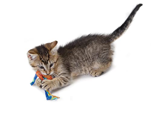 Petstages Dental Health Chews Pair