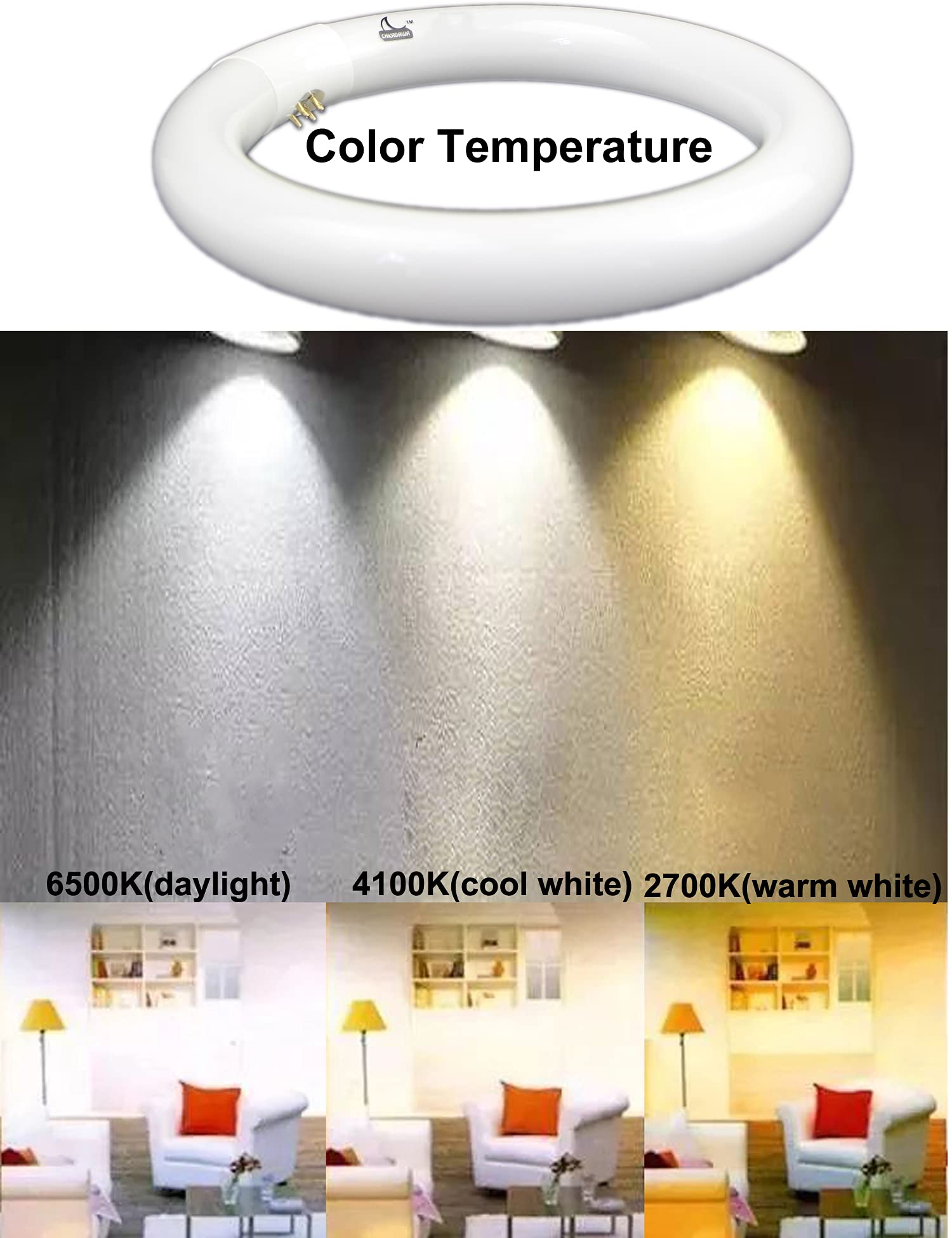 CHKADAWA FC8T9/CW Circular Fluorescent Light Bulb, 8 Inch Round T9 22W Circline Bulbs Replacement for Circle Ceiling Fixture, Cool White 4100K 1350 Lumens, G10q 4 Pin Base, 2 Pack