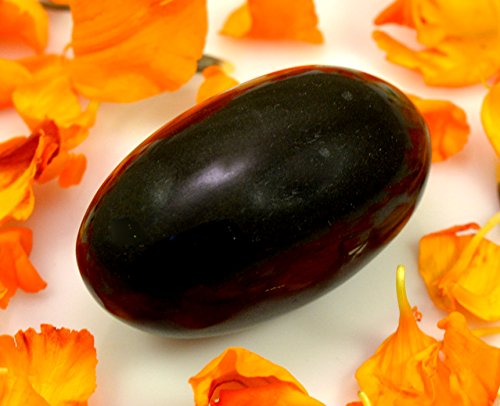 Krishna Mart India Rare Shaligram Hindu Pooja Shivlingam, Shiva, Shivling Small Pocket