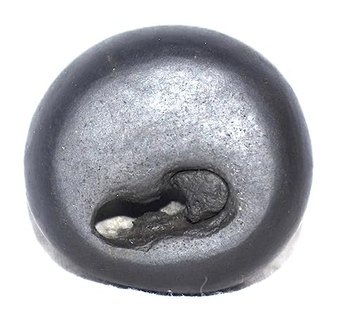 Krishna Shaligram/Santan Gopal Shaligram