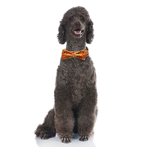 Halloween Thanksgiving Dog Bandana and Collar Set with Bow Tie Dog Scarf Triangle Bibs Kerchief Adjustable Costume Accessories for Cats Dogs Pets