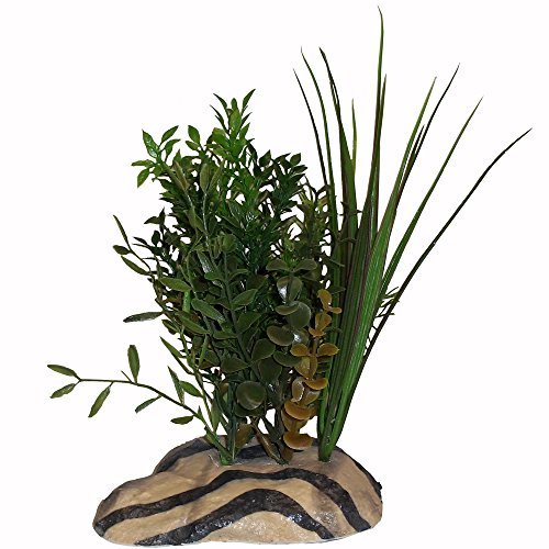 Rock Garden 8" Natural Green Plant with Decorative Resin Base, Large