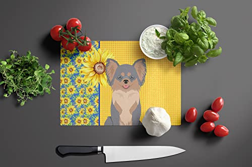 Caroline's Treasures WDK5358LCB Summer Sunflowers Longhaired Blue and Tan Chihuahua Glass Cutting Board Large Decorative Tempered Glass Kitchen Cutting and Serving Board Large Size Chopping Board