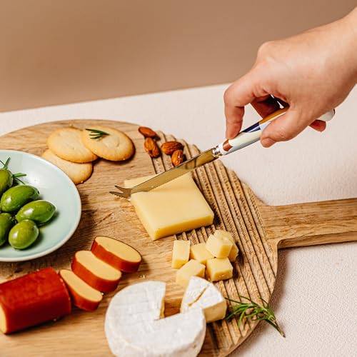Dr.HOWS Victoria Cheese Knife Cutters for Block, Cheese Knife That Cuts All Cheese Types,Modern Designed, Clour Handles, Stainless Silverware Tableware