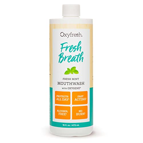 Oxyfresh Fresh Breath Fresh Mint Mouthwash – Dentist Recommended for Long-Lasting Fresh Breath & Healthy Gums | Alcohol & Fluoride Free (1-16 oz Bottle)