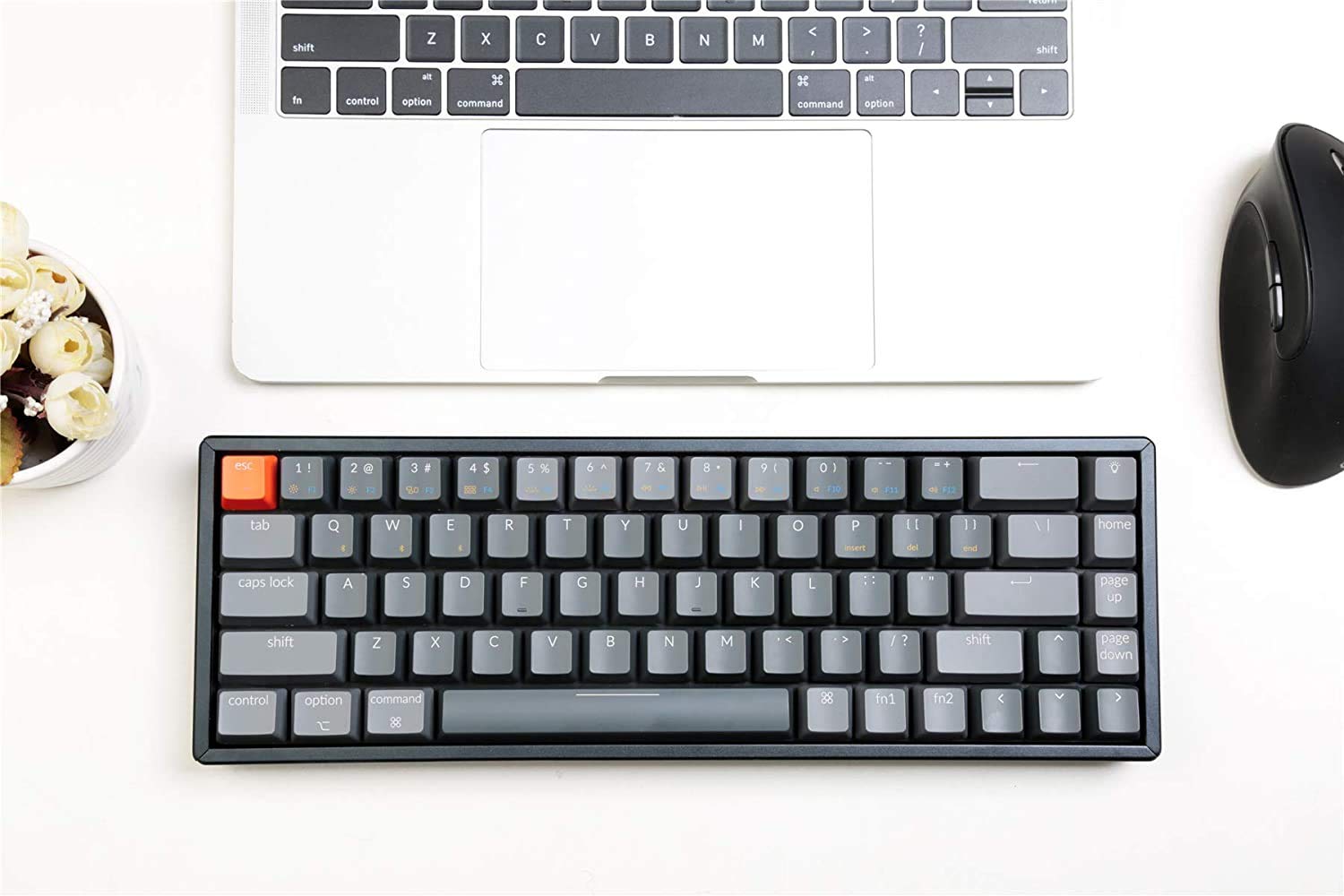Keychron K6 Hot Swappable Wireless Bluetooth 5.1/Wired Mechanical Gaming Keyboard, 65% Compact 68-Key RGB LED Backlit N-Key Rollover, Aluminum Frame for Mac Windows Gateron G Pro Red Switch