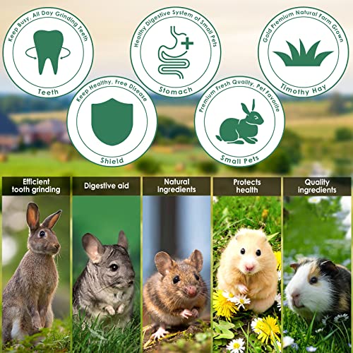 ERKOON 100% Edible Premium Timothy Hay Chew A Bowl for Rabbits, Chinchilla Treats, Chew Toys for Teeth Guinea Pigs and Mice