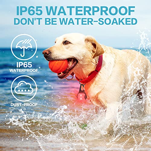 Dog Lights for Night Walking β 50LM Dog Collar Light, 3 Modes Rechargeable Dog Light, IP65 Waterproof Dog Walking Light, Dog Flashlight for Running, Camping, Climbing, Bike, 2 Pack