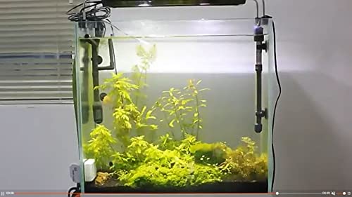EVERGROW® 300W Aquarium Fish Tank Anti-Explosion Submersible Heater JRB-230