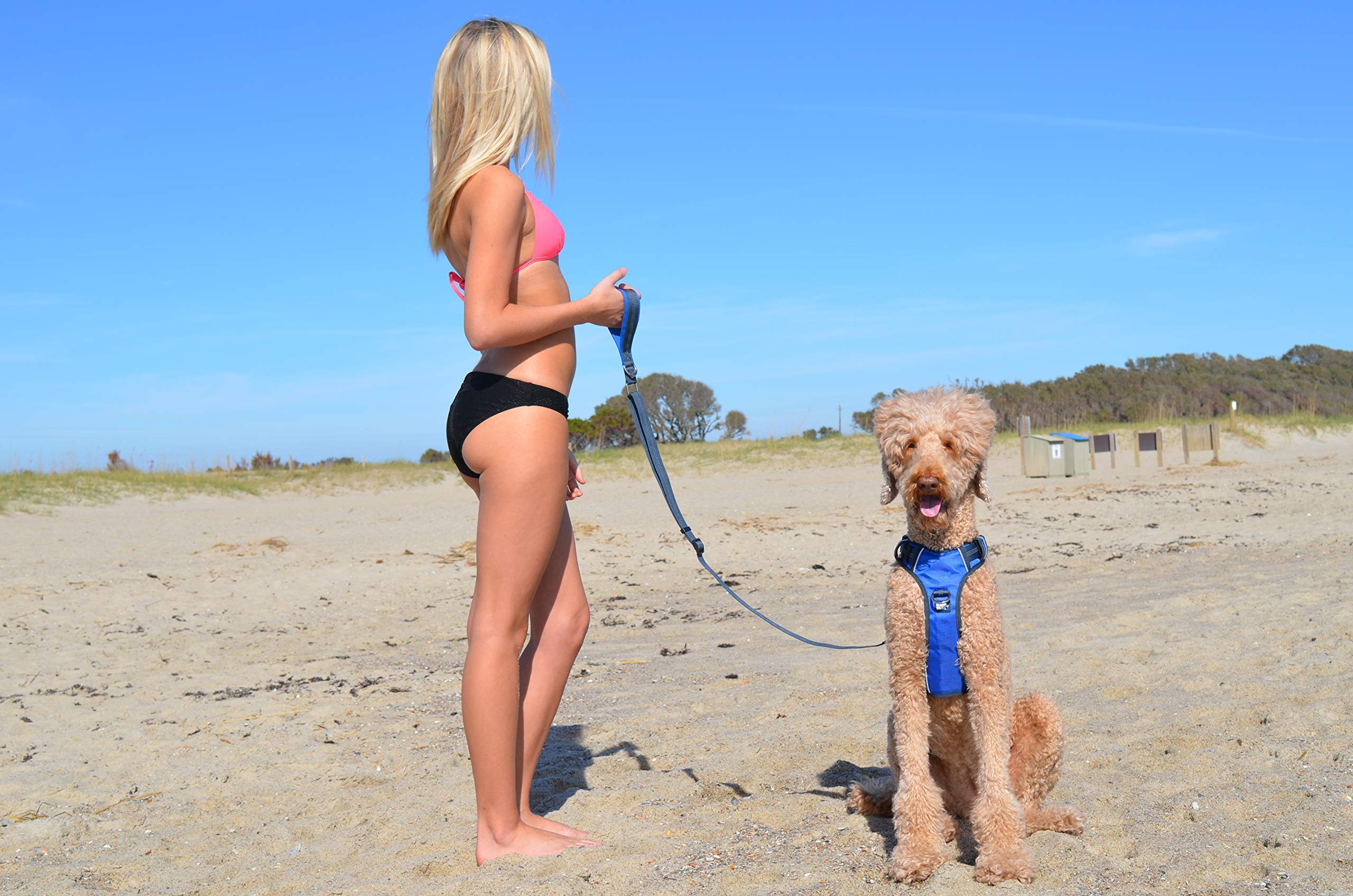 Black Rhino - The Comfort Dog Harness with Mesh Padded Vest for Small - Large Breeds | Adjustable | Reflective | 2 Leash Attachments on Chest & Back - Neoprene Padded Training Handle (Large, Aqua/Gr)