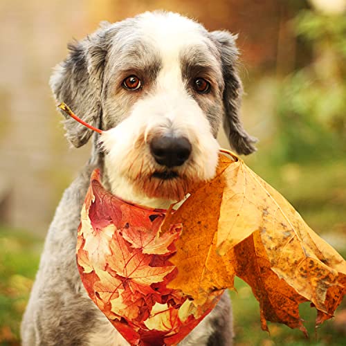 Fall Dog Cat Bandana, Thanksgiving Harvest Pumpkin and Maple Pattern for Large Medium Small Puppies Pets