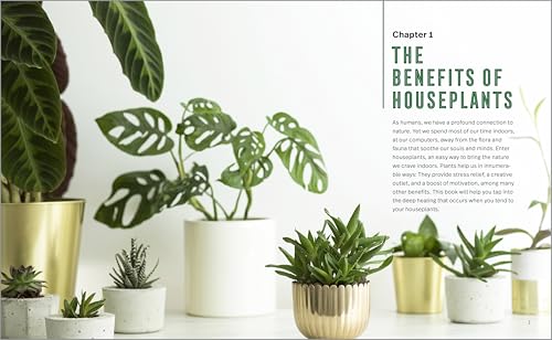Houseplants for Beginners: A Practical Guide to Choosing, Growing, and Helping Your Plants Thrive