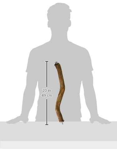 Polly's Full Length Hardwood Bird Perch, 16-Inch, Natural Brown