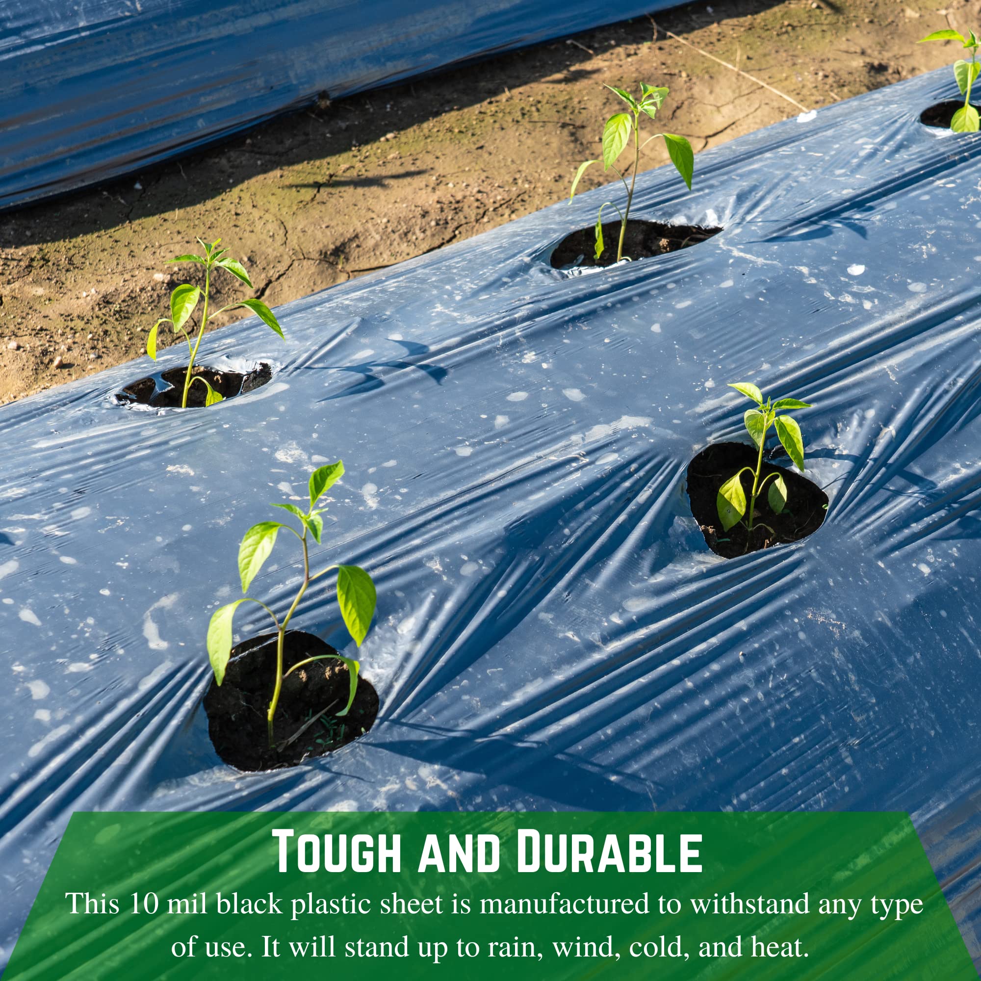 Farm Plastic Supply - Black Plastic Sheeting - 10 mil - (5' x 100') - Black Plastic Tarp, Polyethylene Vapor Barrier Plastic Sheeting, Black Painters Tarp, Roll of Heavy Duty Plastic