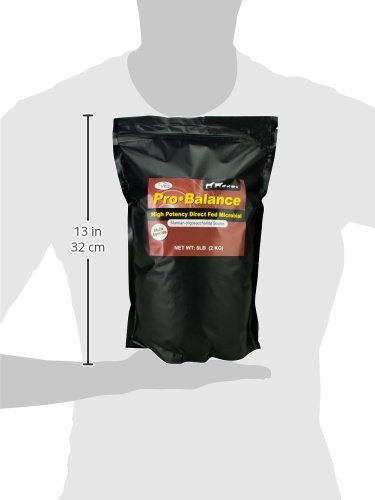 Ortho Equine Pro Balance Supplement, 5 lb