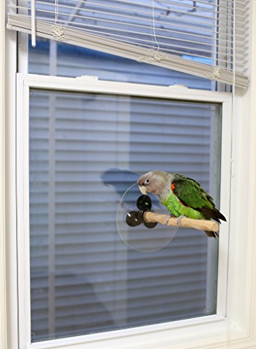 Window NU Perch for Small to Medium Parrots