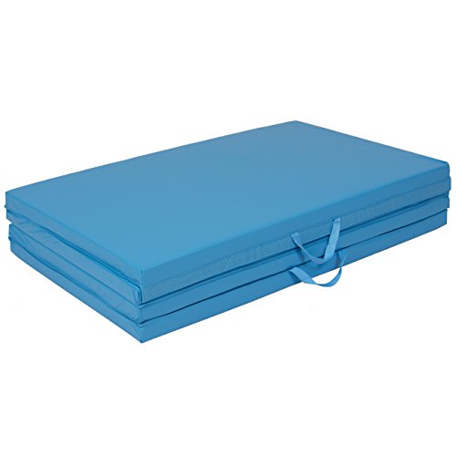 Best Choice Products 10ftx4ftx2in Folding Gym Mat 4-Panel Exercise Gymnastics Aerobics Workout Fitness Floor Mats w/Carrying Handles – Blue