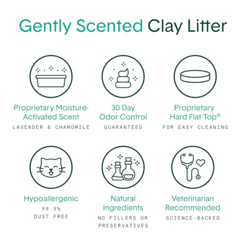 Boxie® Gently Scented 30 Day Natural Odor Control Cat Litter, 16lb Clumping Clay Kitty Litter