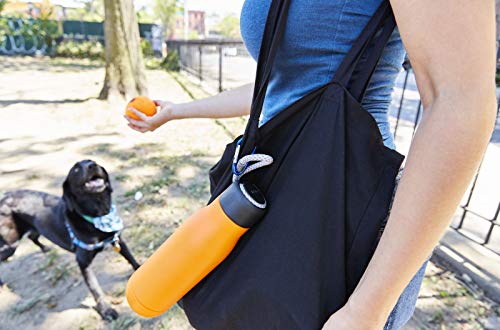Zoku Stainless Steel Water Bottle, 18-Fluid Ounces, Orange