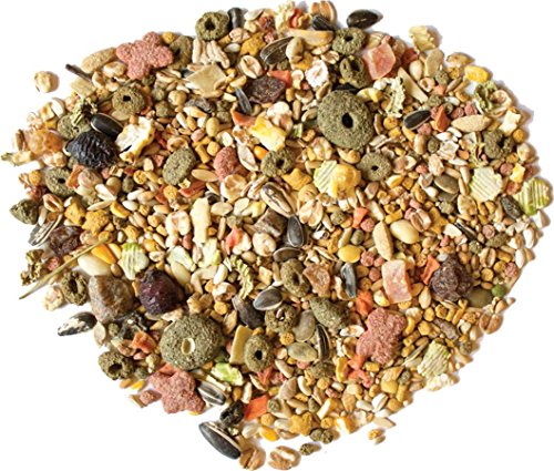 SUNSEED COMPANY 079509 Sunsations Cockatiel/Conure, 4 Pound