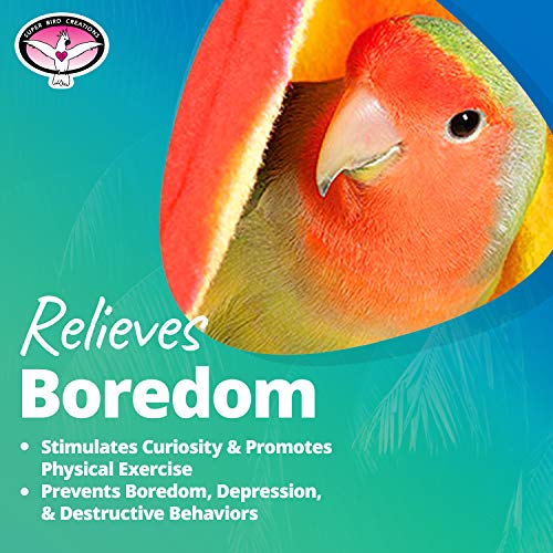 Super Bird Creations SB473 Peekaboo Perch Tent, Small Bird Size, 10β x 4β x 4.5β