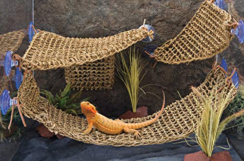 PENN-PLAX Reptology Lizard Lounger Corner Triangle – 100% Natural Seagrass Fiber – Great for Bearded Dragons, Anoles, Geckos, Iguanas, and Other Reptiles – Small