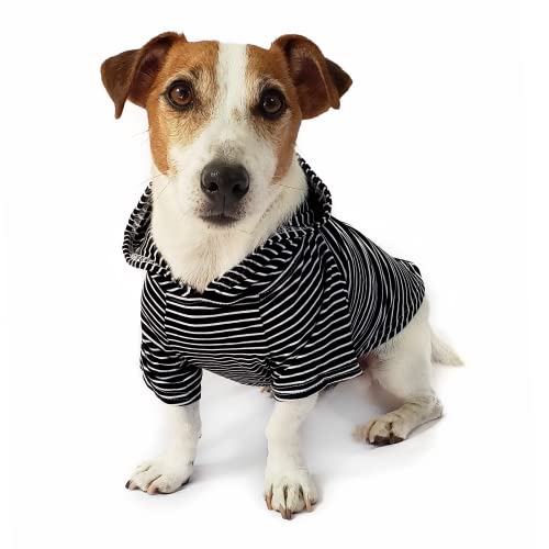 DJANGO Dog Hoodie and Super Soft and Stretchy Sweater with Elastic Waistband and Leash Portal (Medium, Black)