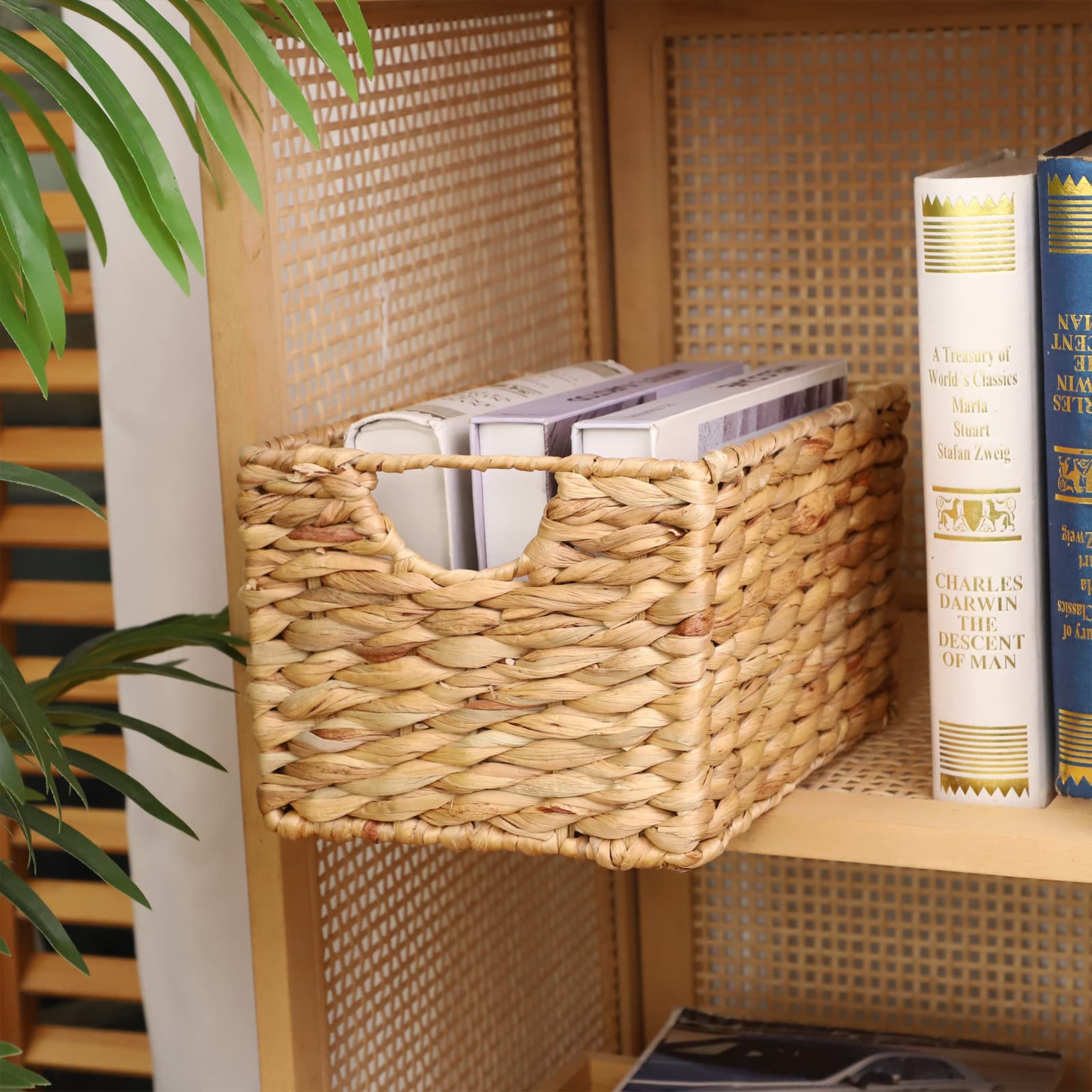YRMT Water Hyacinth Basket Wicker Storage Baskets for Organizing Small Woven Shelf Organizer with Handles Decorative Pantry Shelf Basket 11.8" x 7.9" x 6.3"