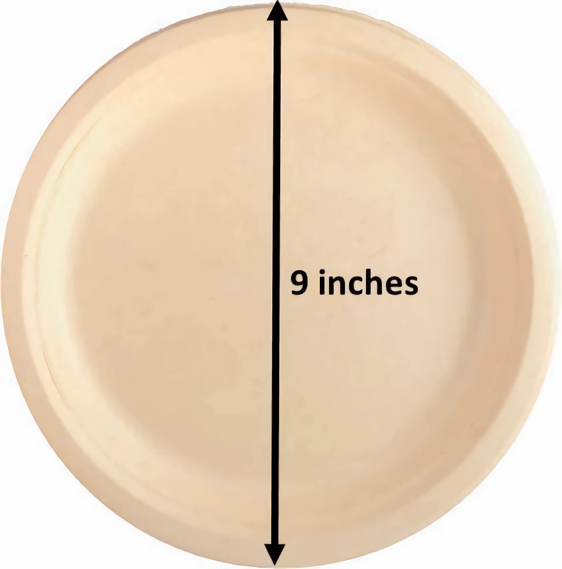 Biodegradable Sugar Cane Bagasse Plate Disposable Sugarcane Paper Plates
