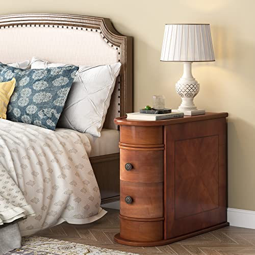 LITTLE TREE Wood End Table with 2 Drawers Sofa Side Table for Living Room, No Assembly Required Vintage Slim Nightstand Bedside Table for Bedroom, Brown