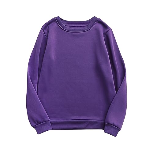 Fall Outfits For Women, And Winter Round Neck Long Sleeve Sweatshirt Top Plain Casual Basic Pullover Hoodie Women Sweatshirt Hoodie Fashion 2023 Unwell Green Vest Shirts (L, Dark Purple)