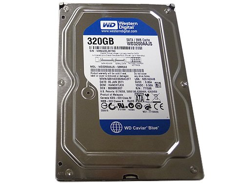 Western Digital (WD) Caviar Blue 320 GB (320gb) SATA II 7200 RPM 8 MB Cache Bulk/OEM Desktop Hard Drive for PC, Mac, CCTV DVR, NAS, RAID- 1 Year Warranty
