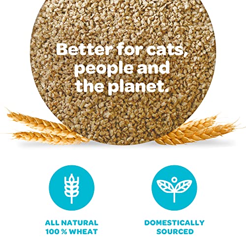 sWheat Scoop Natural Wheat Cat Litter, Original, Fast Clumping with Odor Neutralizing Enzymes, 25 Pound Bag
