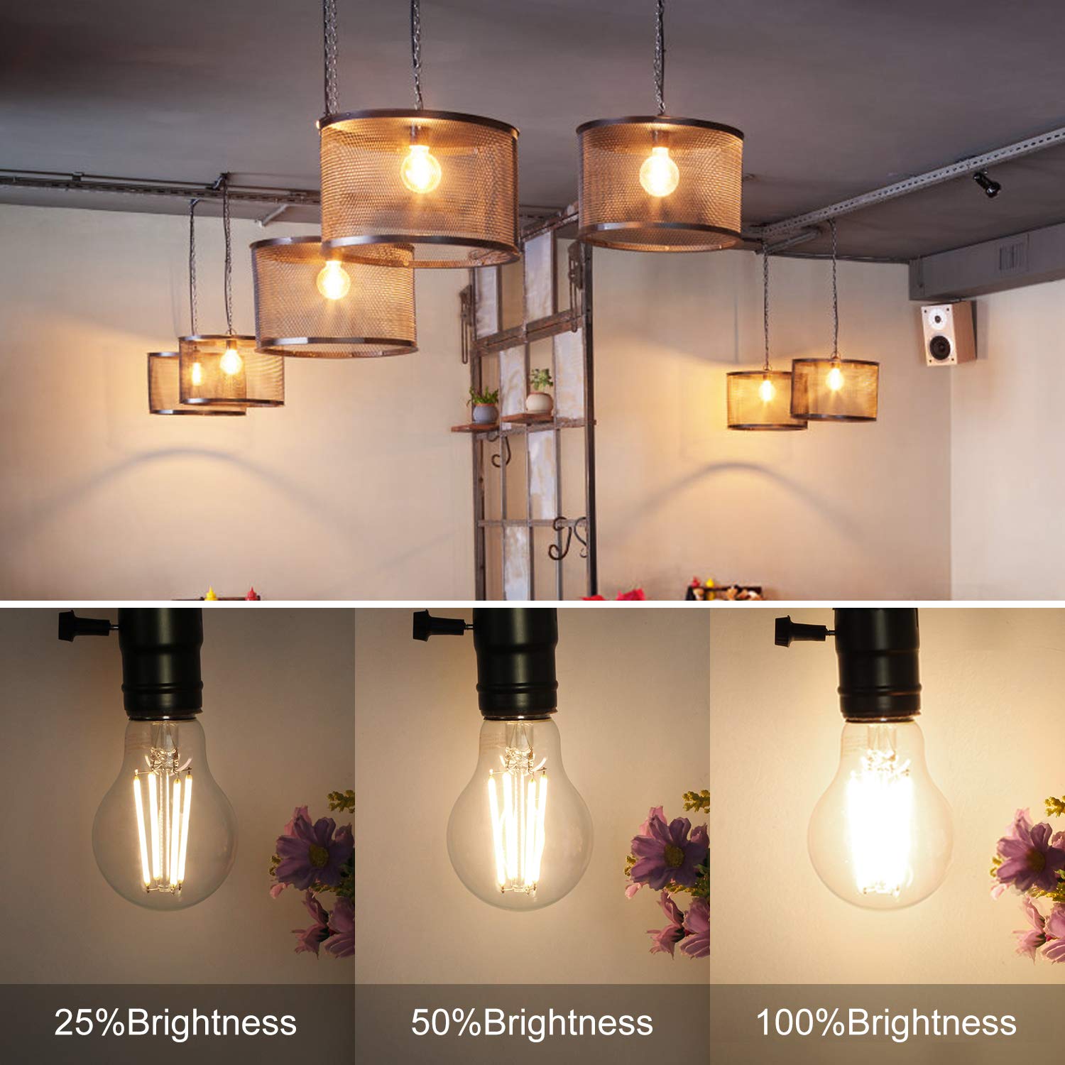 Boncoo A19 LED Edison Bulb Dimmable 6W LED Filament Light Bulbs 60W Incandescent Equivalent Led Vintage Bulb 3000K Soft White 620LM E26 Medium Base Clear Glass for Home, Office, 6 Pack