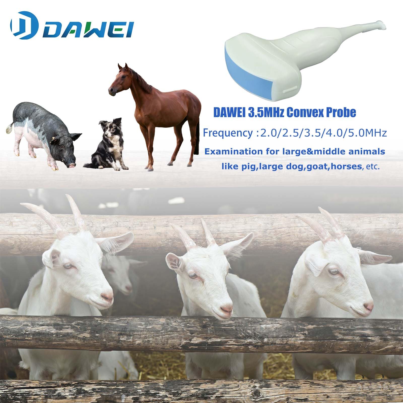 DAWEIanimed Veterinary Ultrasound Scanner Laptop Ultrasound Machine with 3.5Mhz Convex Probe for Animals Dog,Goat,Pig,Sheep use