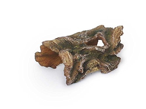 Weco 37788365: Wecorama Sleepy Hollows Wicked Bark Terrarium Ornament, Sm