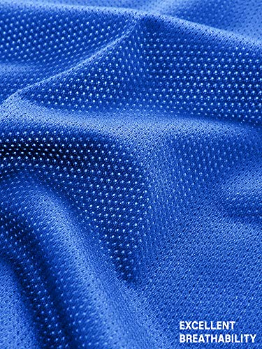 Liberty Imports 10 Pack - Reversible Men's Mesh Performance Athletic Basketball Jerseys - Adult Team Sports Bulk (Blue/White)