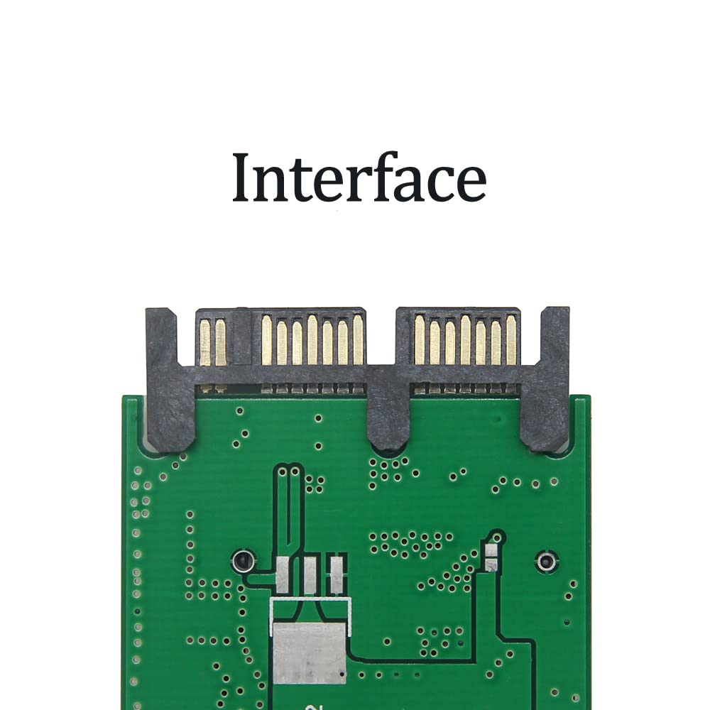 FLEANE 256GB MS02 MicroSata SSD Compatible with HP 2740p 2730p 2540p IBM X300 X301 T400S T410S Replace MK1233GSG MK1633GSG MK2533GSG 1.8" HDD (256GB)